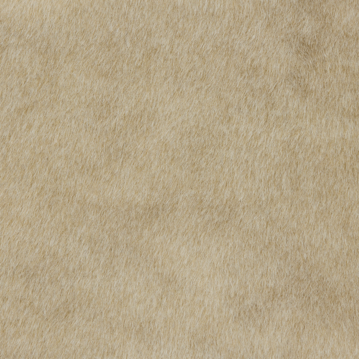 Grade A: Cashmere Fawn | Verellen Swatch – Urban Natural Home