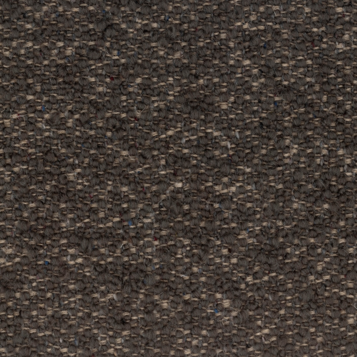 Grade K: Moray Charcoal | Verellen Swatch – Urban Natural Home