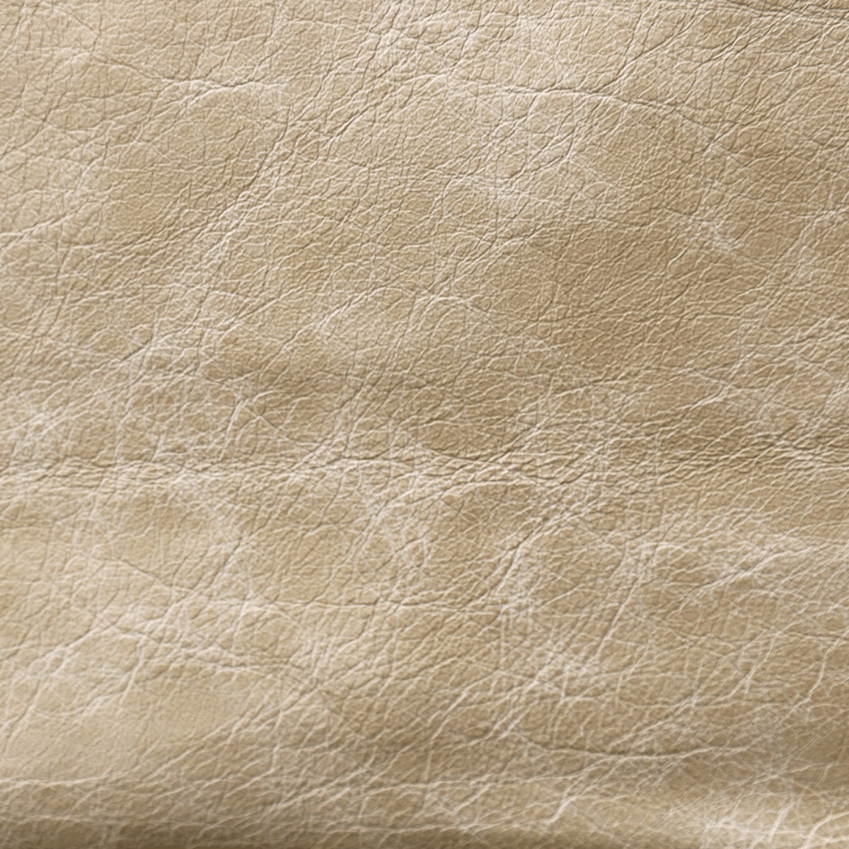 Trail Dust Leather | Canal Dover Upholstery – Urban Natural Home