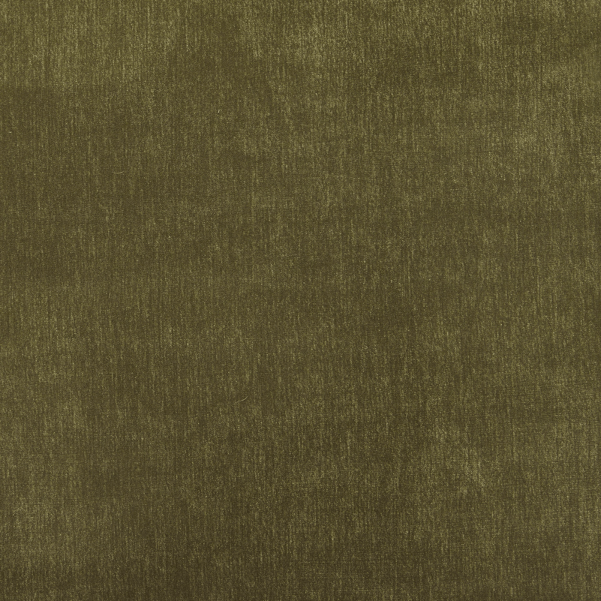 Grade H: Apollo Moss (Essentials Tier 1) | Cisco Swatch – Urban Natural ...