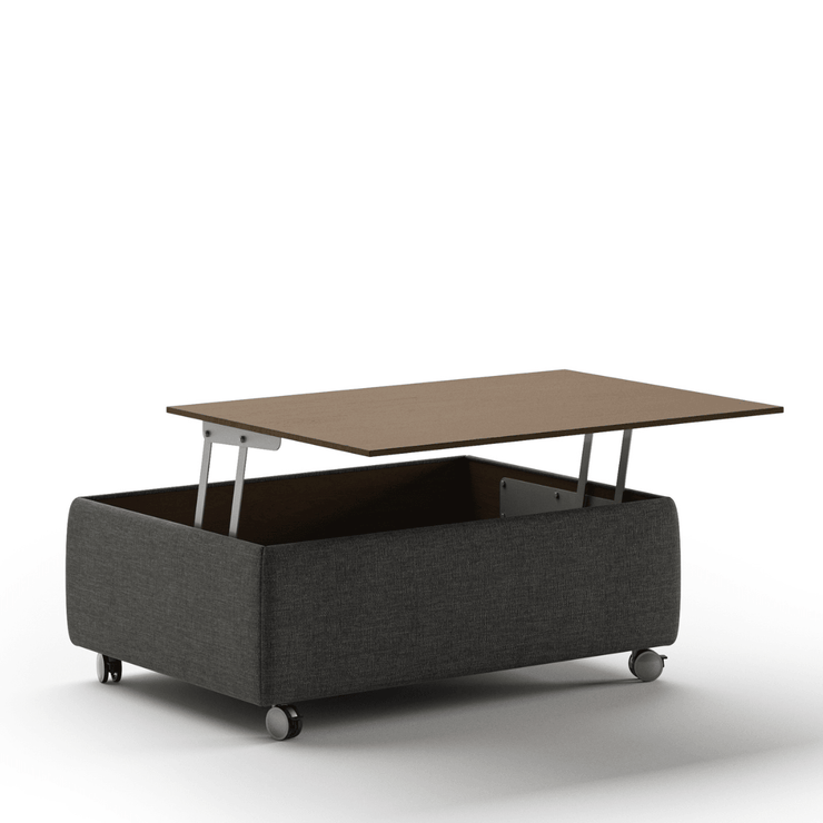 Functional Openable Coffee Table – Urban Natural Home