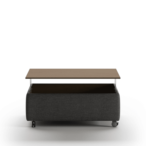 Functional Openable Coffee Table – Urban Natural Home