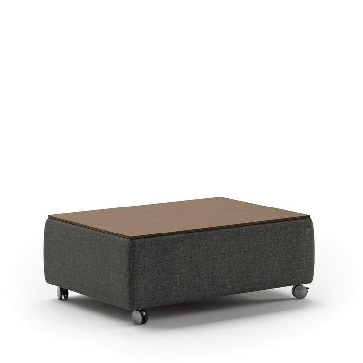 Functional Openable Coffee Table – Urban Natural Home