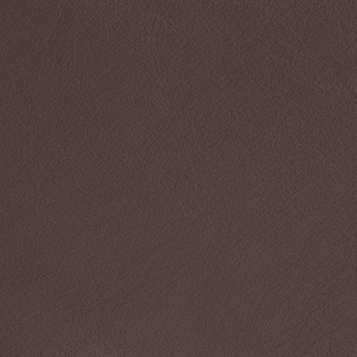 Grade G: Elmo Soft Cafe | American Leather – Urban Natural Home
