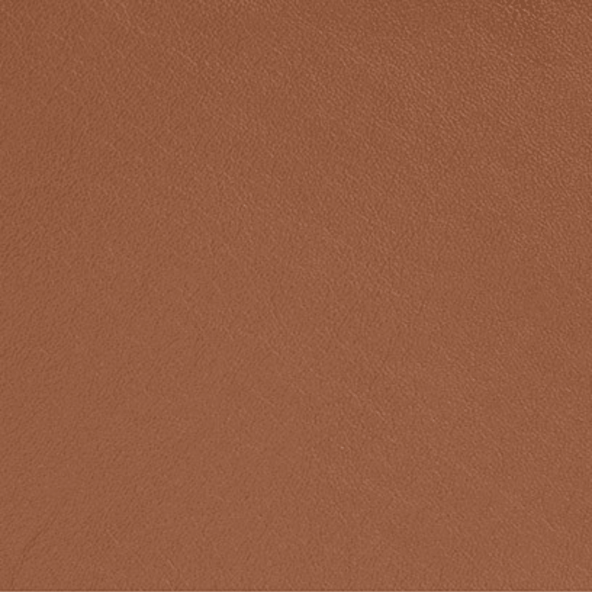 Grade G: Elmo Soft Saddle | American Leather – Urban Natural Home